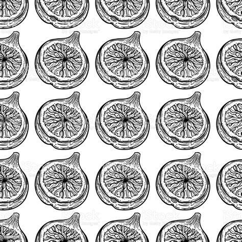 반 무화과 원활한 벡터 패턴 맛있는 펄프 씨앗으로 잘 익은 정원 과일의 스케치 채식 식물의 흑백 개요 이국적인 디저트 조각