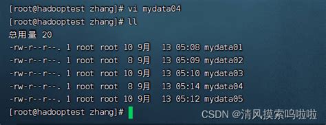 hdfs的基础练习 新建目录 hdfs创建目录 csdn博客