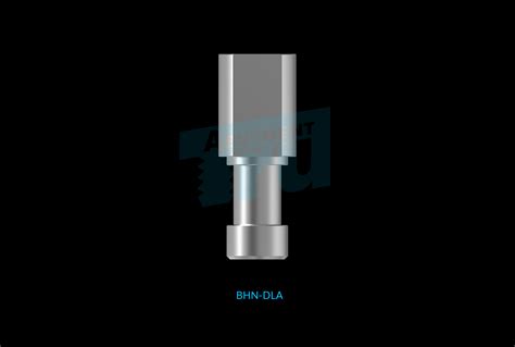 Digital Lab Analog Biohorizons Truabutment Inc