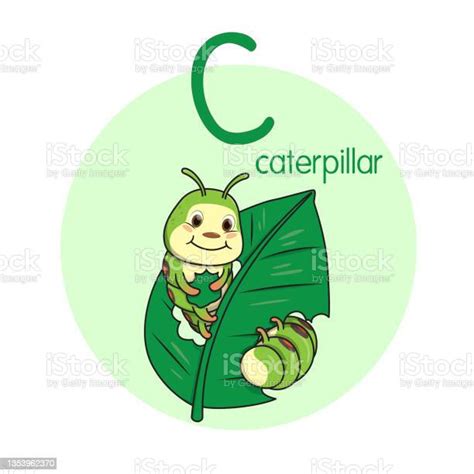 알파벳 문자 C 어퍼 케이스 또는 어린이 학습 연습 Abc에 대 한 대 문자와 애벌레의 벡터 그림 나비에 대한 스톡 벡터 아트