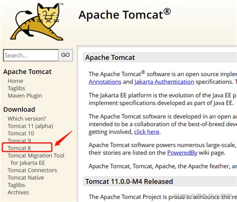 tomcat的安装和配置 csdn博客