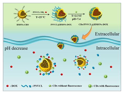 Ph And Temperature Dual Responsive Hollow Mesoporous Silica
