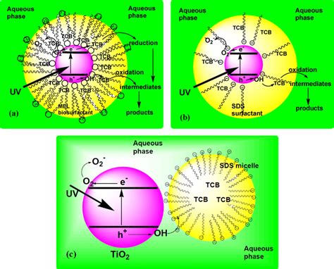 Cartoons That Conceptualize The Initial Events In The Photodegradation