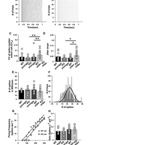 Schematic Summary Plot Indicating Developmental Increase In Spiking Download Scientific Diagram