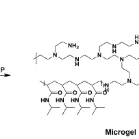 The Process To Prepare The Microgel Download Scientific Diagram