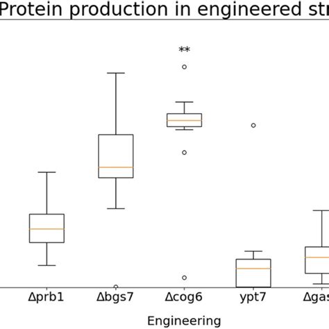 An Image Of The Predicted 3d Ribbon Structure Of The Fused Recombinant