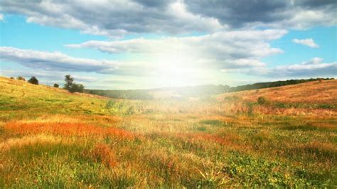 Beyond Balanced Books Inc On Linkedin Taxseason Smallbizhelp