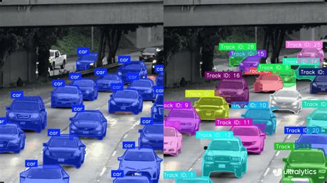 Instance Segmentation A Quick Guide Ultralytics