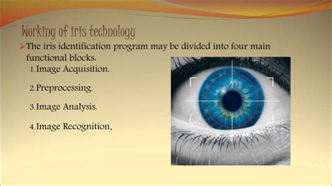 Biometrics Iris Recognition Pptx Eye And Vision Conditions Diseases And Conditions