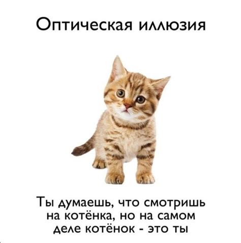 Пин от пользователя Вика Носова на доске