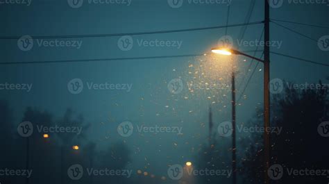 Rain Gently Falls Under Streetlights Creating A Serene Urban Atmosphere During Twilight