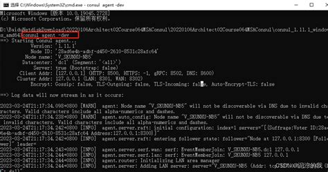 Consul服务注册与发现先启动微服务 再启动consul 注册不上吗 Csdn博客