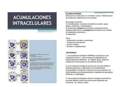 Acumulaciones Intracelulares 1pastillita Udocz
