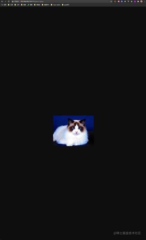 Docker Build Nginx Proxy Picture Server And File Server Moment For Technology