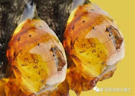 树脂基础知识浅析 知乎