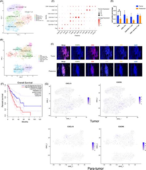 Exhausted T Cells And Suppressive Immune Microenvironment In Human Download Scientific Diagram