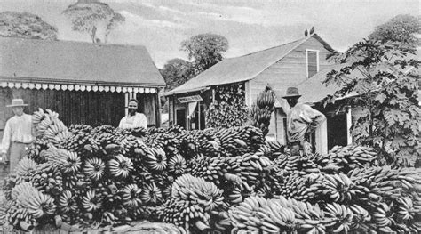 United Fruit Company Why Is Latin America So Dysfunctional Part Three