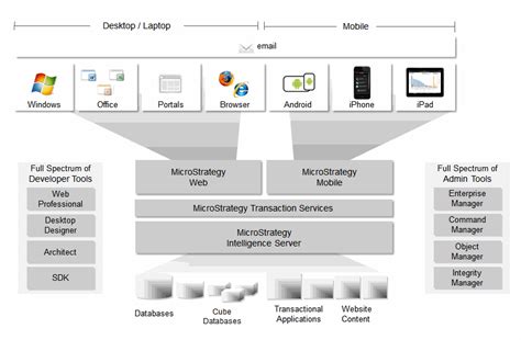 MicroStrategy BI & Analytics | MicroStrategy Web en MicroStrategy Intelligence Server