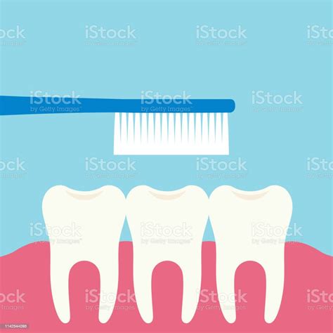 3 개의 치아 칫 솔 및 분홍색 잇 몸의 평면 디자인 그림 치아 관리에 고립 된 녹색파란색 배경벡터 양치질에 대한 스톡 벡터 아트 및 기타 이미지 Istock
