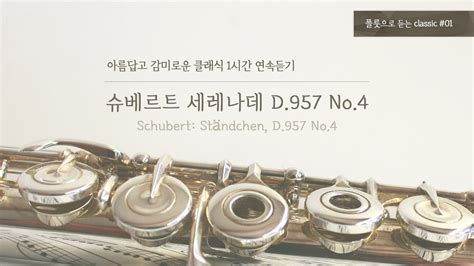 1시간연속듣기 마음이 편안해지는 음악슈베르트 세레나데schubert Ständchen D957no4클래식명곡잠자기전
