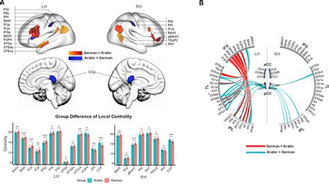 Regional Connectivity Differences Local Node Centrality And