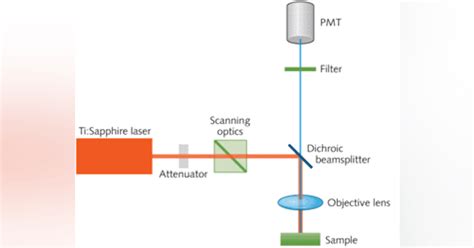 Optical Filters For Bio Optics Custom Filters Improve Image Quality Of