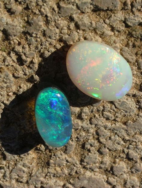 Macro Dads Opals Iii