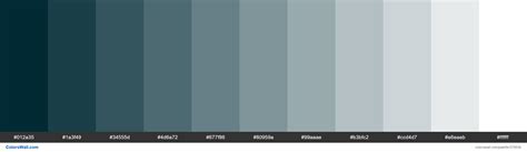 nuxt js colors palette 012a35 1a3f49 34555d colorswall