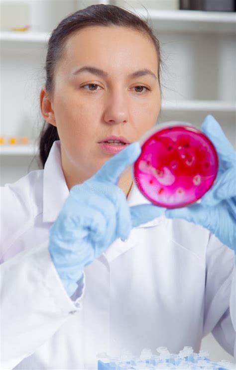 Young Female Scientist In Lab Doing Experiments In Lab Stock Image Image Of Science