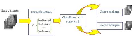24 Principe De La Classification Non Supervisée Download Scientific