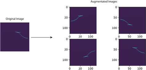 data augmentation technique applied in the images [27] download