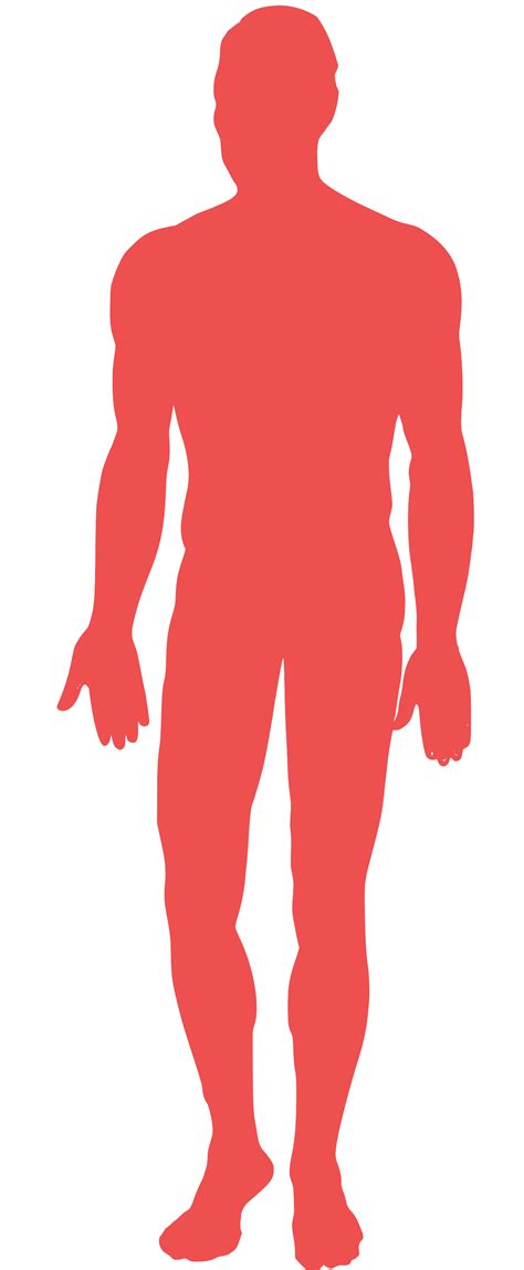Download Muscles Of A Man Svg Freepngimg