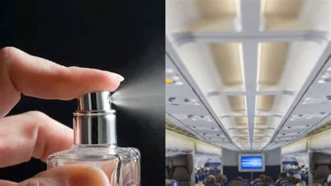 Perfume On Airplane Carry On At Gail Pagano Blog