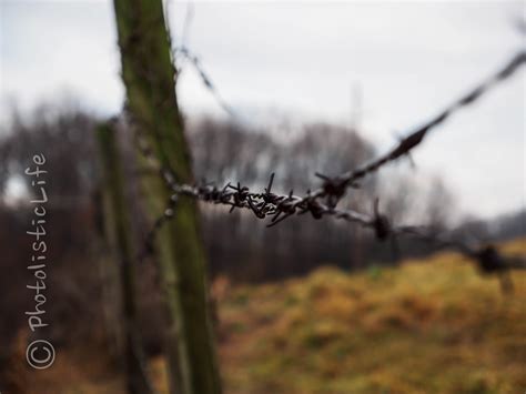 Quick Tip 116 More Histogram Basics Photolisticlife