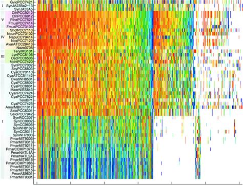 Presence Absence And Sequence Similarity Patterns Of Cyanobacterial Download Scientific