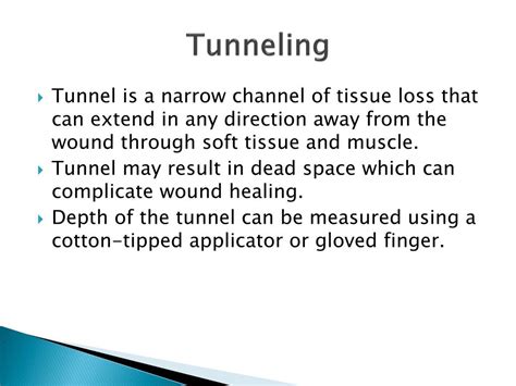 Ppt Pressure Ulcers Staging And Risk Assessment Powerpoint