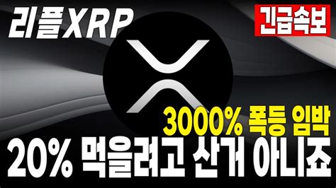 리플 전망 리플 3000 폭등 임박 20 먹으려고 들어온 거 아니죠 리플 Sec 리플소송 리플합의 리플코인 Xrp 코인퓨처 Youtube
