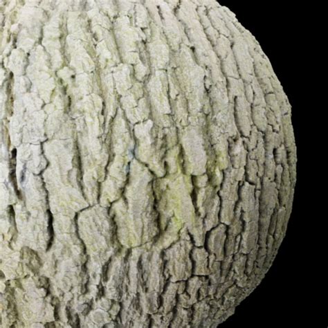 Bark Seamless Texture Patterns 2k 20482048 By Model789