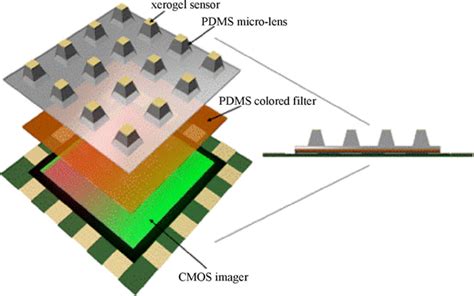 Figure From Contact CMOS Imaging Of Gaseous Oxygen Sensor Array Semantic Scholar