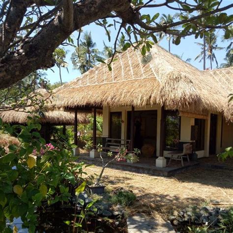 Thatch Roof Unique And Captivating Home Designs With Alang Alang And