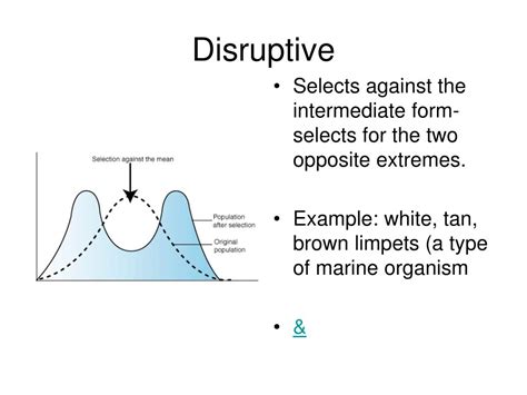 Ppt Evolution In Populations Powerpoint Presentation Free Download