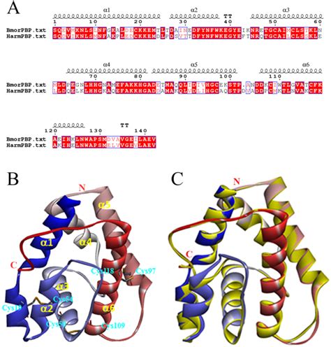 Key Site Residues Of Pheromone Binding Protein 1 Involved In