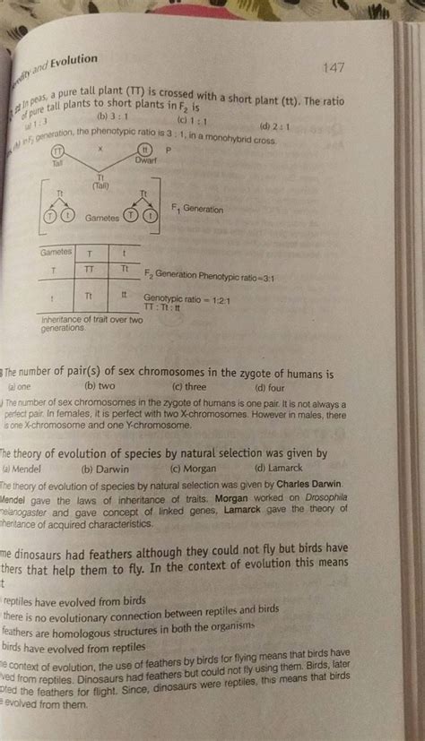 1nf2 Generation The Phenotypic Ratio Is 31 In A Monohybrid Cross In