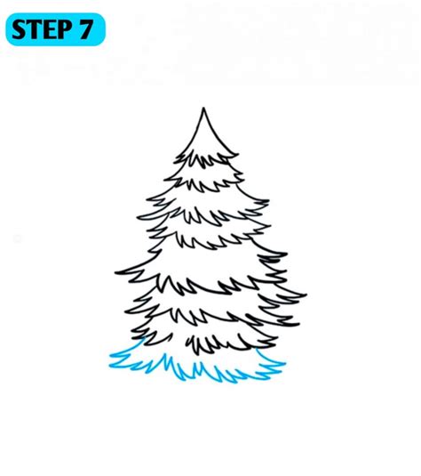 Pine Tree Drawing Step By Step Images Ideas