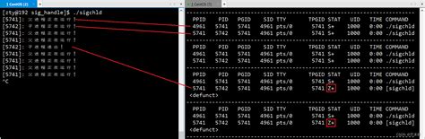 【信号】信号处理 信号处理的时机；内核态和用户态；信号捕捉的原理；信号处理函数：signal Sigaction；可重入函数