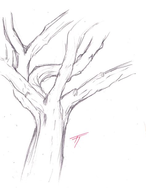 Tree Trunk Drawing At GetDrawings Free Download