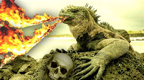 الإجوانا البحرية سحلية الأعماق شبيهة وحش جودزيلا مع مزيد من مقاطع