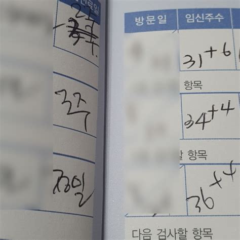 임신 32주 33주 34주 역아 돌리기 3가지 자세 임산부 고양이자세 네이버 블로그