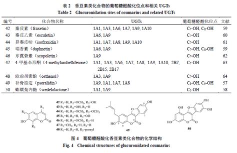 植物天然产物的葡萄糖醛酸苷生物合成的研究进展药物代谢物质