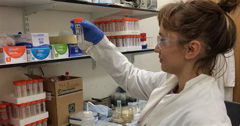 Using Fossilised Algae To Detect Historical Mega Droughts By Heather Moorhouse